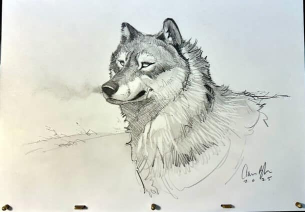 "Wolf 2025" Original Drawing by Aaron Blaise - The Art of Aaron Blaise