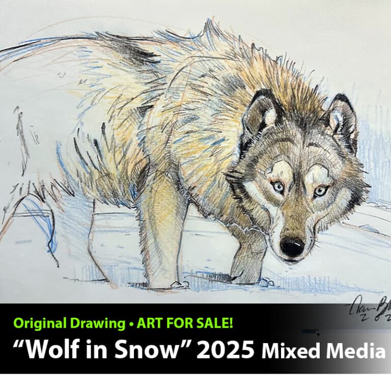 Wolf In Snow 2025 Original Drawing By Aaron Blaise The Art Of Aaron