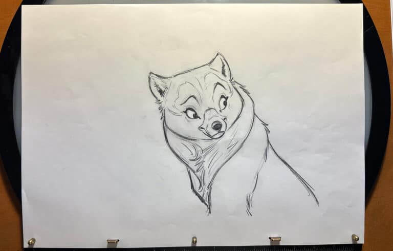 "Arctic Fox" Animation Drawings by Aaron Blaise - (Set of 5 Drawings ...