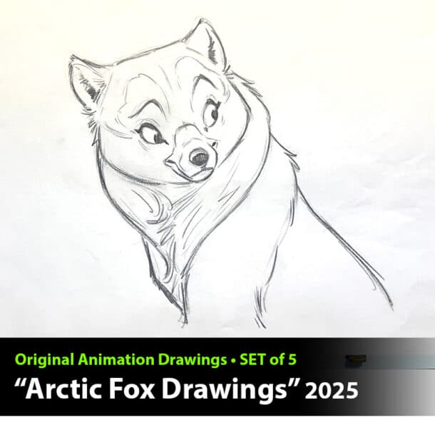 "Arctic Fox" Animation Drawings by Aaron Blaise - (Set of 5 Drawings ...