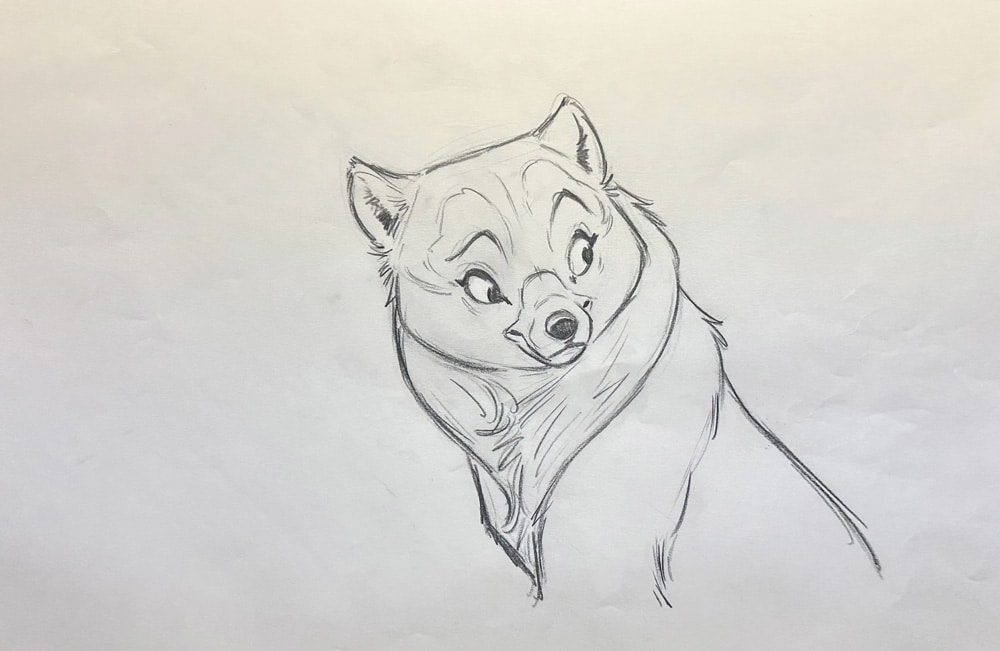 "Arctic Fox" Animation Drawings by Aaron Blaise - (Set of 5 Drawings ...