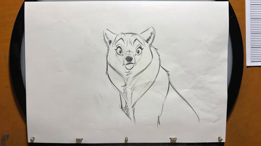 "Arctic Fox" Animation Drawings by Aaron Blaise - (Set of 5 Drawings ...