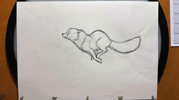"Arctic Fox Run Cycle" Animation Drawings by Aaron Blaise - (Set of 5 ...