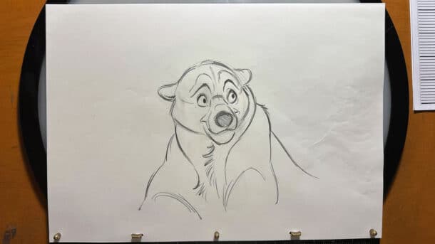 "Snow Bear Demo 8" Animation Demo by Aaron Blaise - (Set of 8 Drawings ...