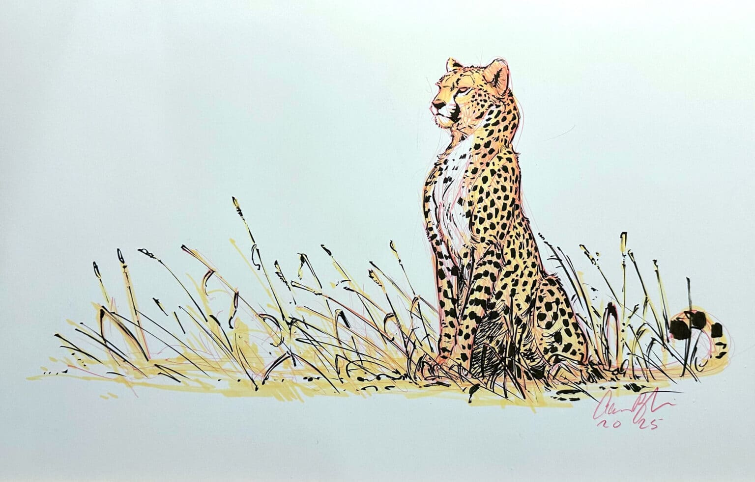 "Cheetah, Mixed Media" Original Drawing by Aaron Blaise - The Art of ...