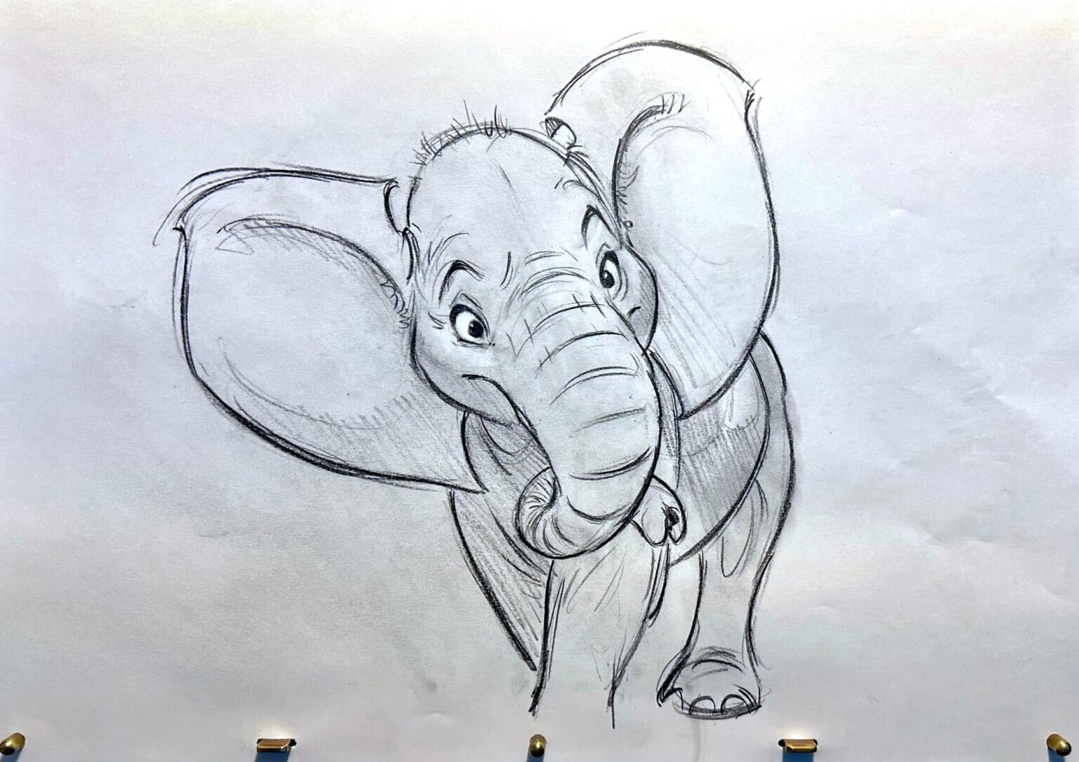 "Elephant Live #1" Original Drawing - The Art of Aaron Blaise