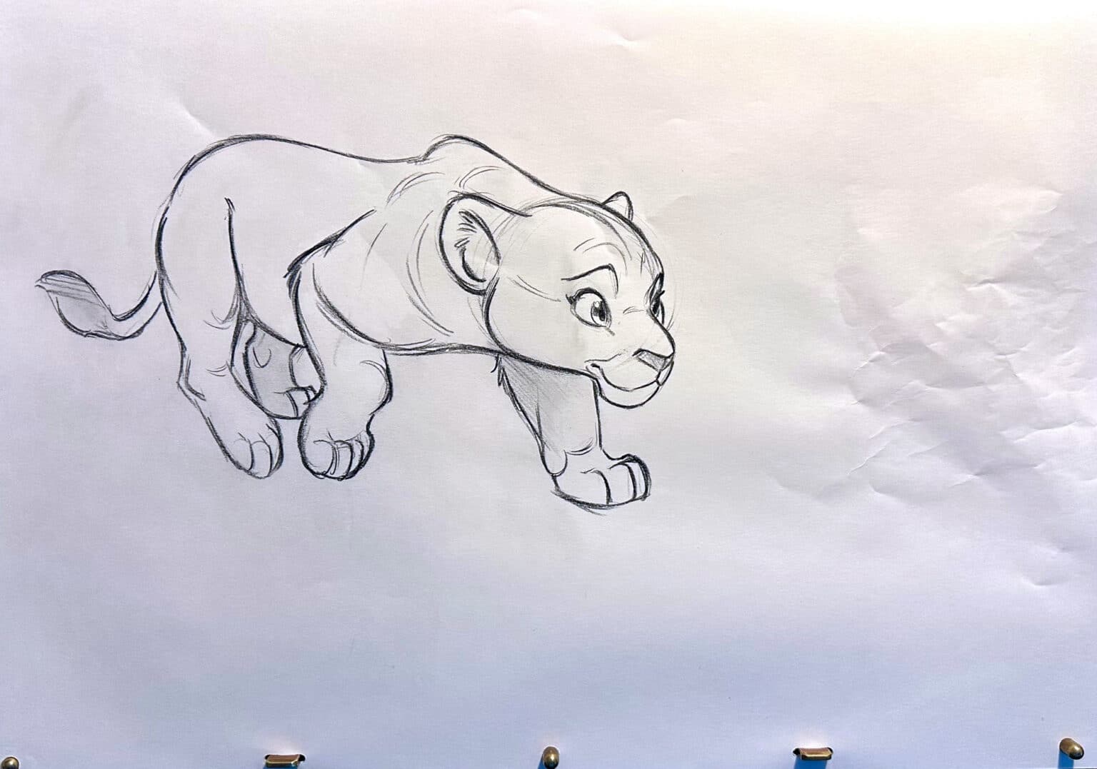 "Nala Live 2025 #2" Original Drawing - The Art of Aaron Blaise