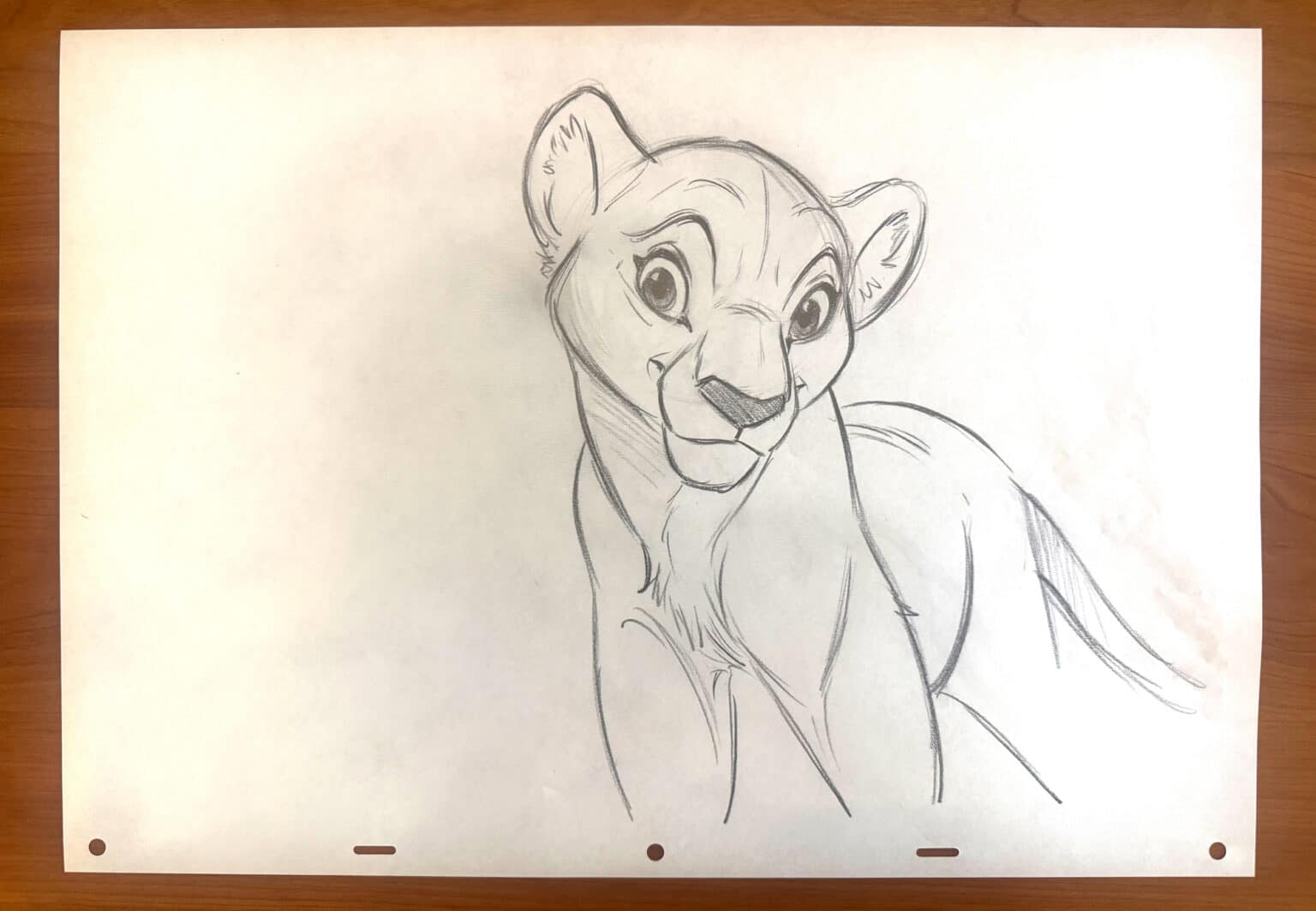 "Nala Drawing 2025 #1" Original Drawing - The Art of Aaron Blaise