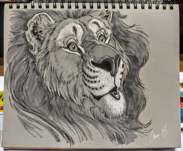 Through the Eyes of an Animator: Drawing Animals the Aaron Blaise Way ...