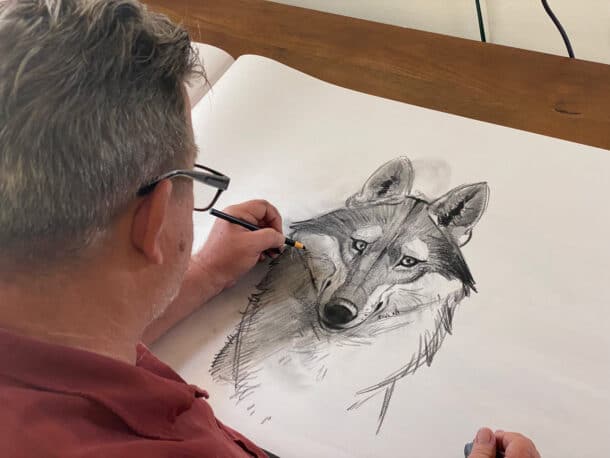 Through the Eyes of an Animator: Drawing Animals the Aaron Blaise Way ...