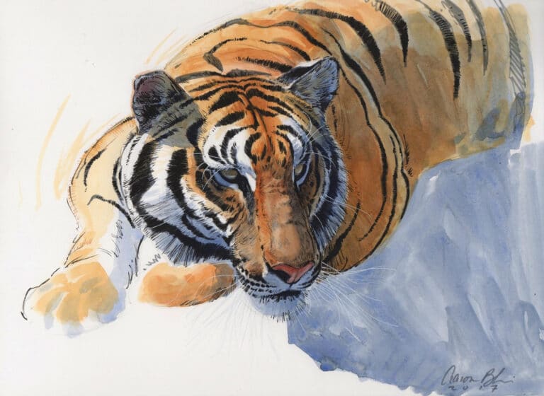 Through the Eyes of an Animator: Drawing Animals the Aaron Blaise Way ...