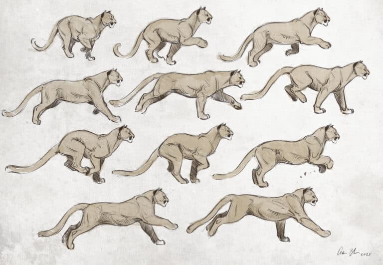 Through the Eyes of an Animator: Drawing Animals the Aaron Blaise Way ...