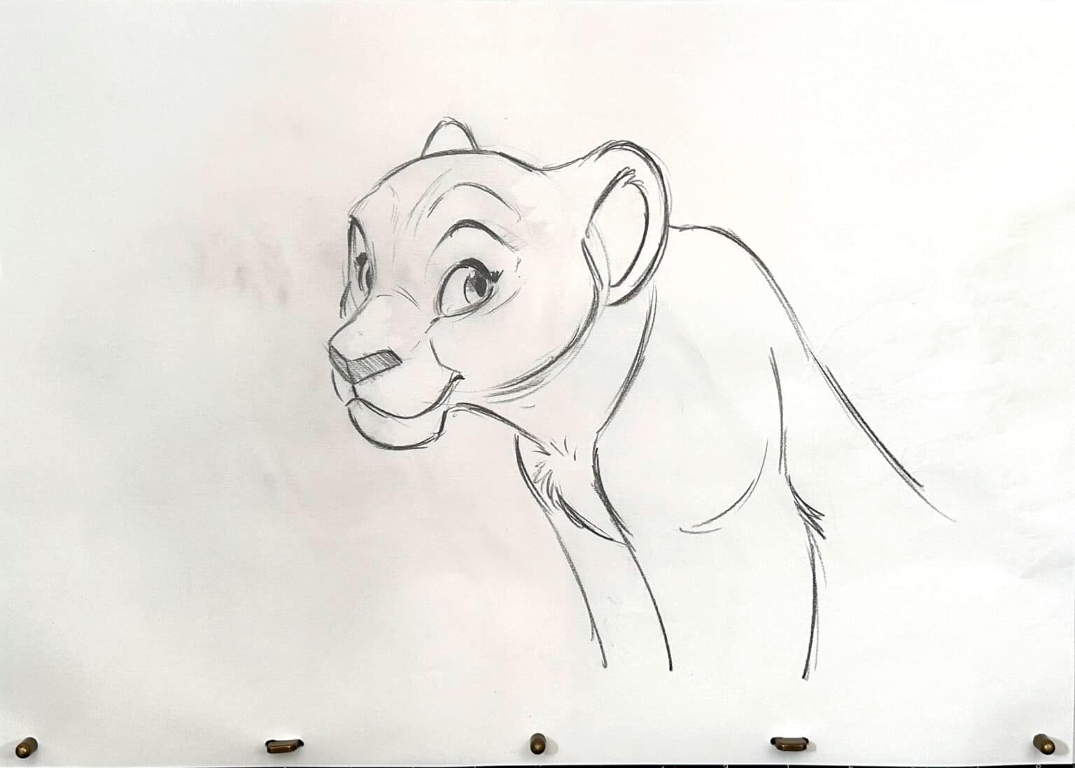 "Nala Drawing #2" 2026 Original Drawing - The Art of Aaron Blaise