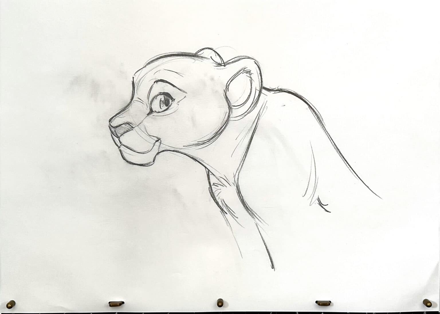 "Nala Drawing #3" 2026 Original Drawing - The Art of Aaron Blaise
