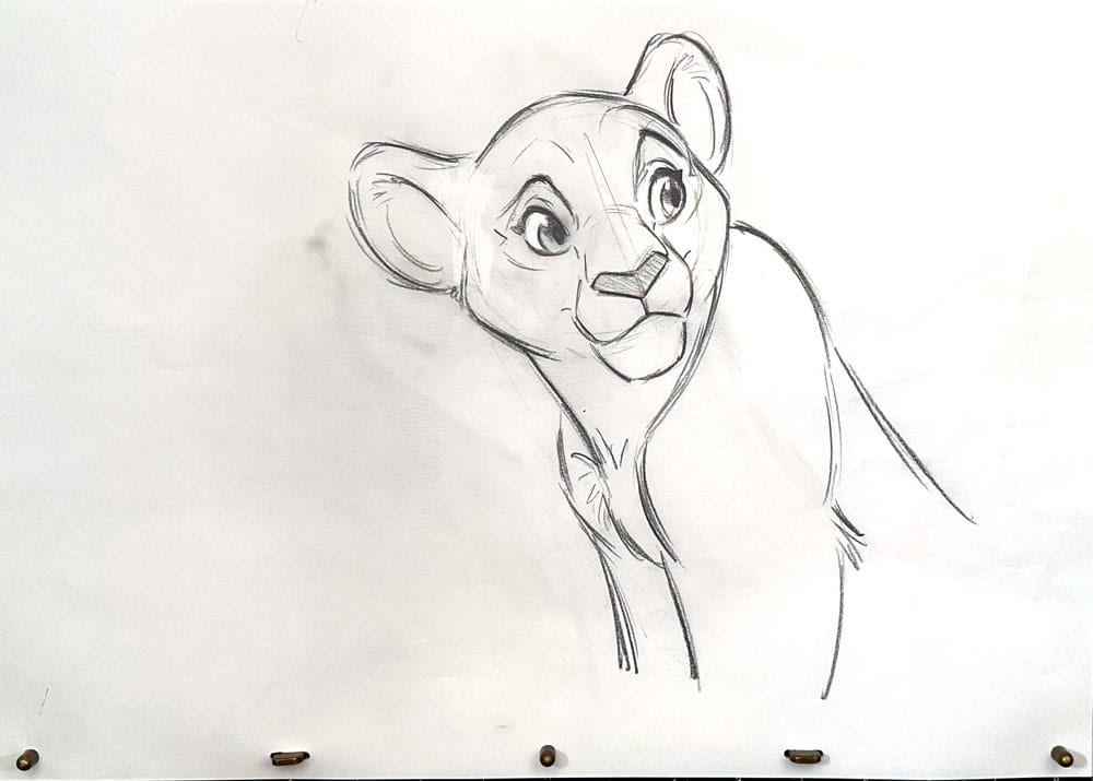 "Nala Drawing #1" 2026 Original Drawing - The Art of Aaron Blaise