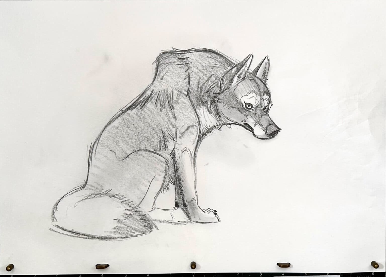 "The Wolf #3" 2026 Original Drawing - The Art of Aaron Blaise