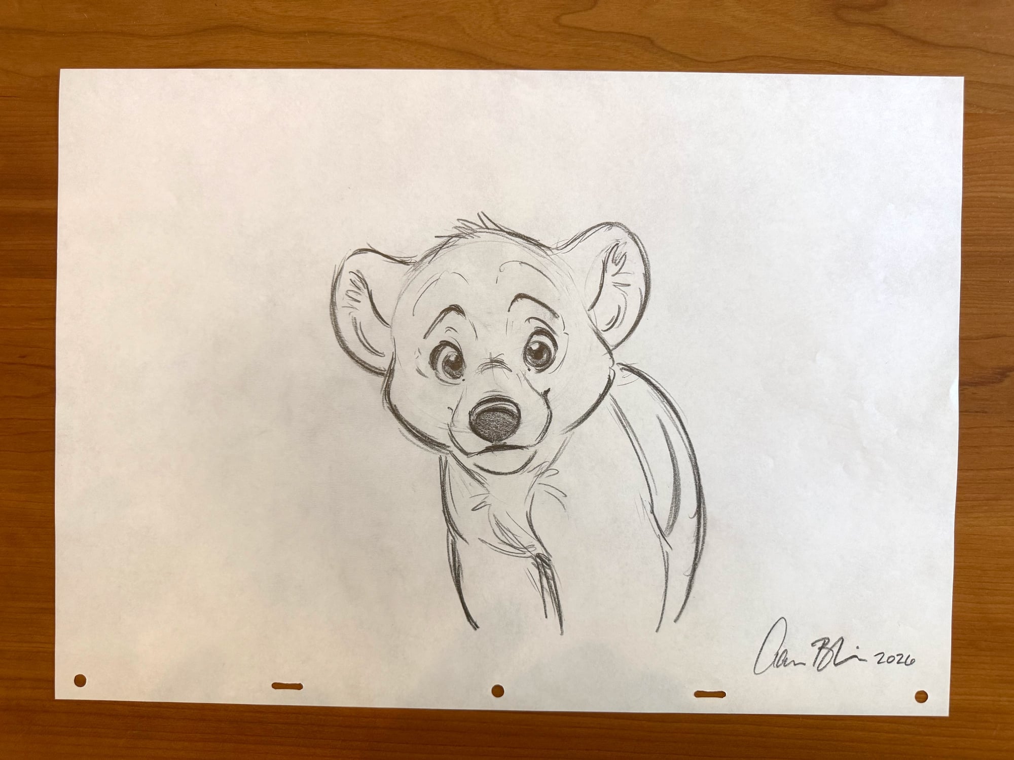 "Koda Drawing #1" 2026 Original Drawing - The Art of Aaron Blaise