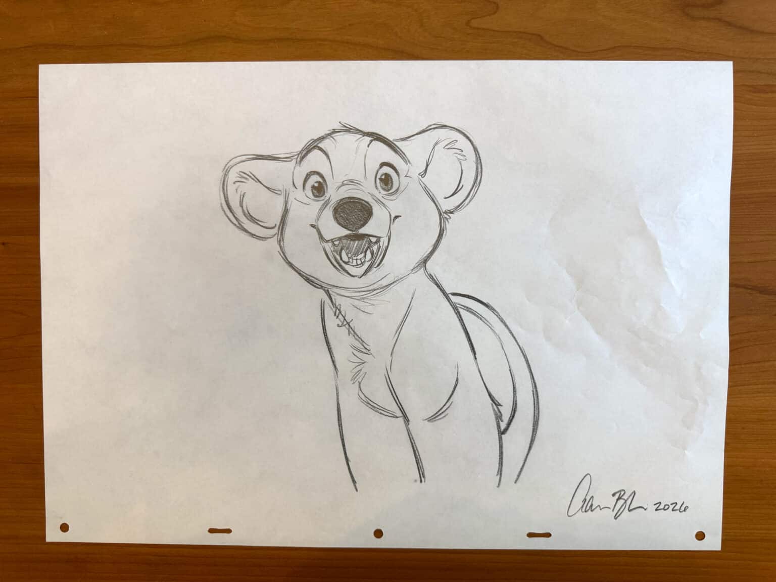 "Koda Drawing #2" 2026 Original Drawing - The Art of Aaron Blaise