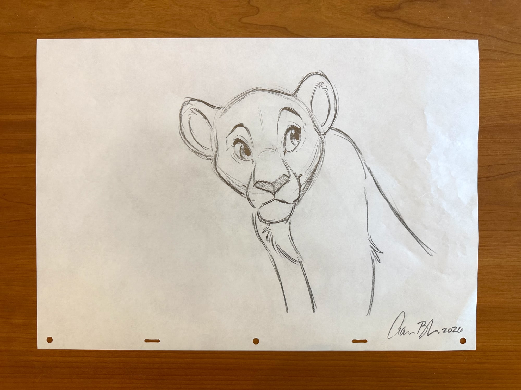 "Nala Drawing #5" 2026 Original Drawing - The Art of Aaron Blaise