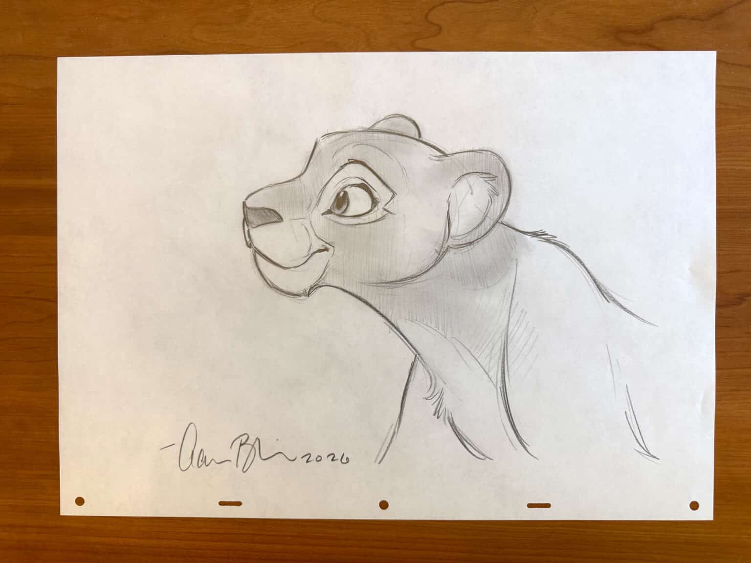 "Portrait of Nala" 2026 Original Drawing - The Art of Aaron Blaise